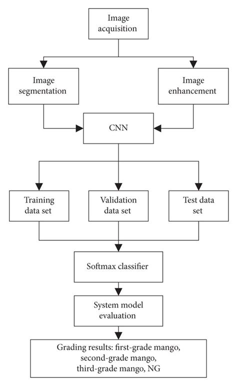 Mango Image Processing Flowchart Download Scientific Diagram
