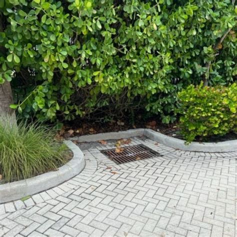 The Effects Of Poor Storm Drain Maintenance — Learn More