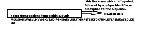 understanding fasta format in bioinformatics