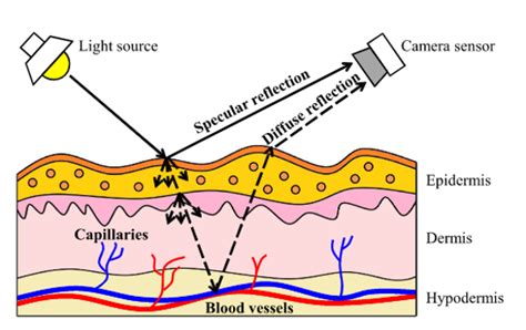 R Ppg Review Bughht Blog