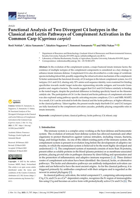 Pdf Functional Analysis Of Two Divergent C4 Isotypes In The Classical And Lectin Pathways Of