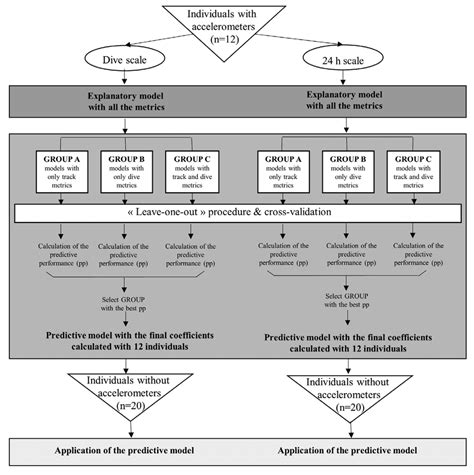Modelling Process Creation Of Explanatory And Predictive Models At The Download Scientific