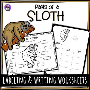 Anatomy Resources Tpt