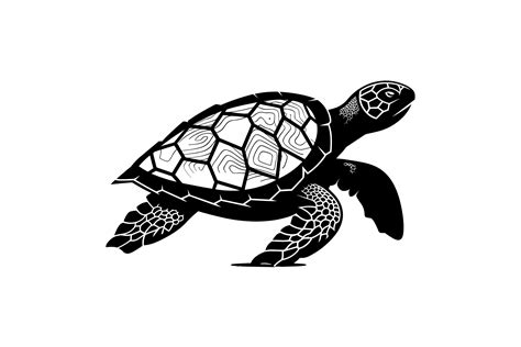Turtle Graphic By Mahak Arts · Creative Fabrica Turtle Graphic By Mahak Arts · Creative Fabrica