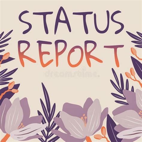 Conceptual Display Status Report Business Approach Update Summary Of Situations As Of A Period