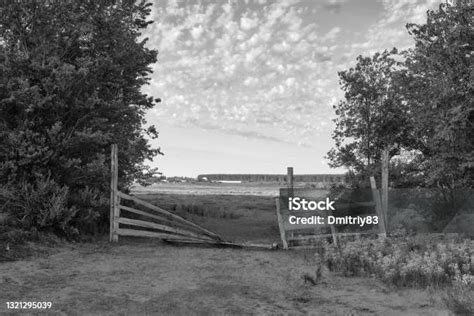 농장의 가축 펜 소와 말에 있는 깨진 문이 회색 톤으로 되어 있습니다 0명에 대한 스톡 사진 및 기타 이미지 0명 게이트 경관 Istock