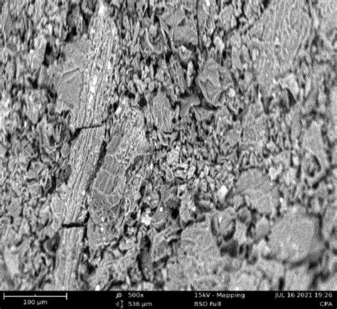 Sem Micrographs Of Cpa A Before Adsorption B After Adsorption On Mo Download Scientific