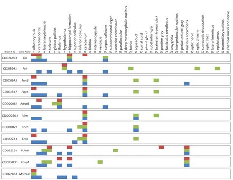 Comparison Of Estimated Spatial Gene Expression Areas Shown Are