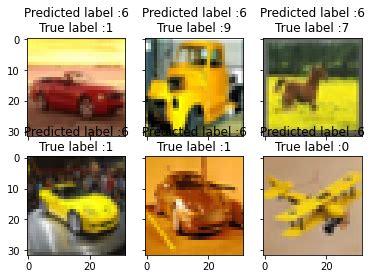 Python How To Store Wrong Predictions During Evaluation On The CNN
