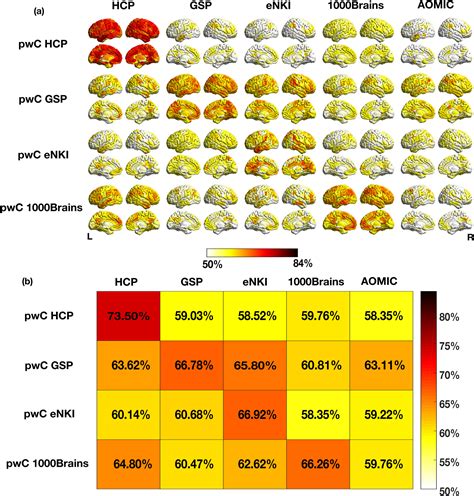 Human Brain Mapping Neuroimaging Journal Wiley Online Library