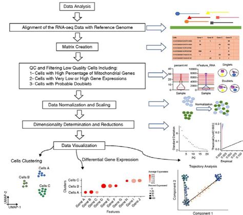 A Guide To Single Cell Sequencing And Spatial Analysis