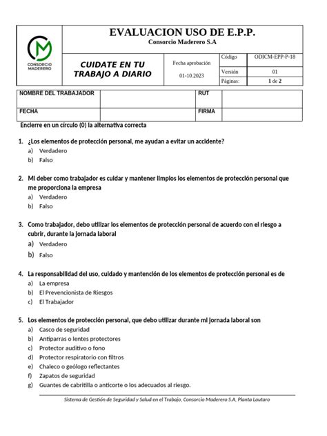 18 Odicm Epp P 18 Evaluacion Uso Epp Pdf