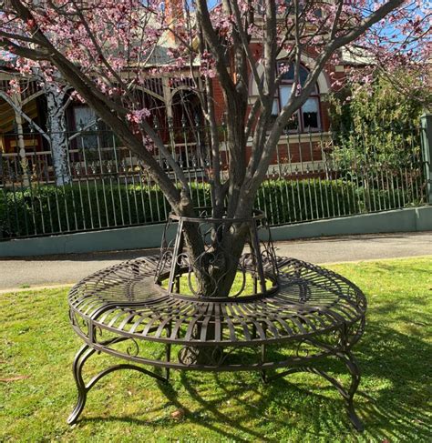 Tree Surround With Bench Varieties Echuca Plant Farm