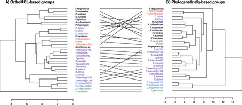 Comparison Of Two Hierarchical Clusterings Of 31 Diatom Strains In