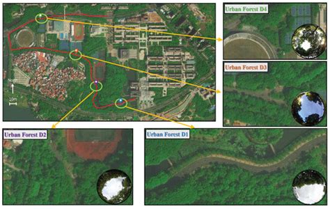 Sensors Free Full Text An Efficient Convolutional Denoising Autoencoder Based Bds Nlos