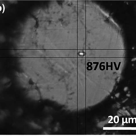 Optical Micrographs Showing The Sizes Of Microhardness Indents And The Download Scientific