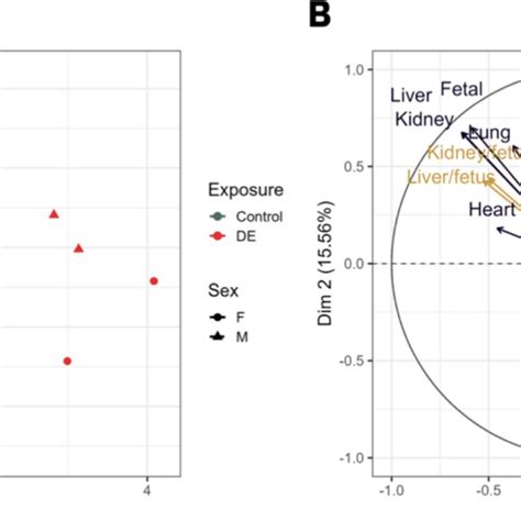 Plot Of Individuals A And Variables Factor Map B Of The Multiple Download Scientific