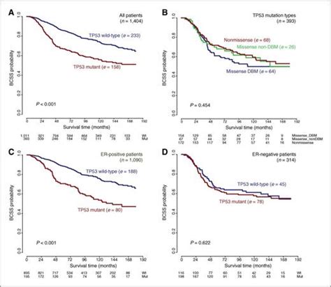 Tp53 Mutation Spectrum In Breast Cancer Is Subtype Specific And Has