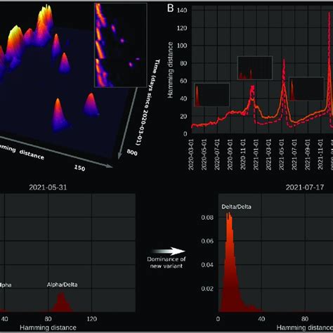 Genomic Diversity Over Time In Sars Cov 2 Uk Genomic Sureveillance Download Scientific Diagram