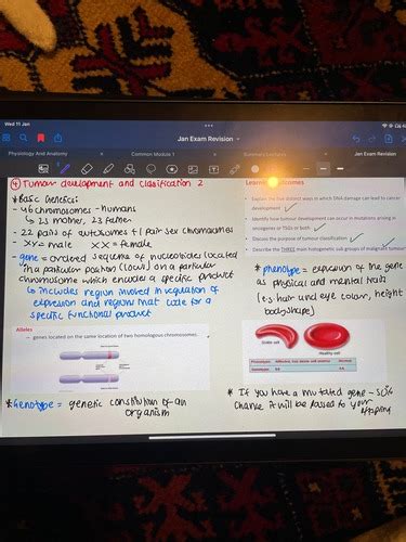 Tumour Development And Classification 2 Flashcards Quizlet