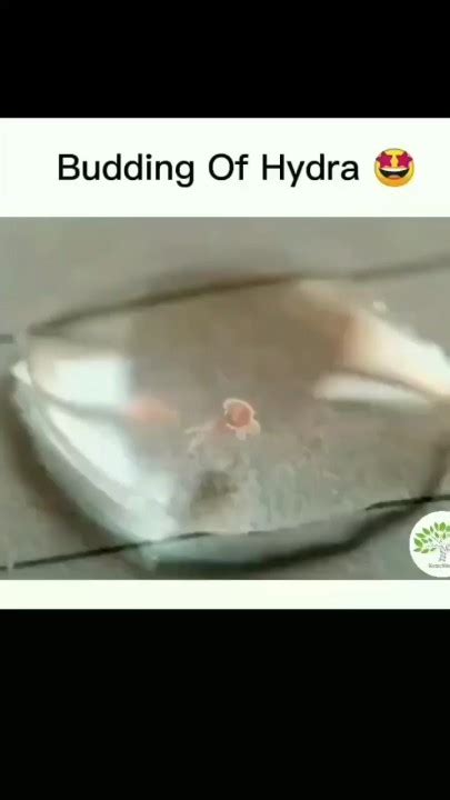 Sakshi Mishra Posted On Linkedin