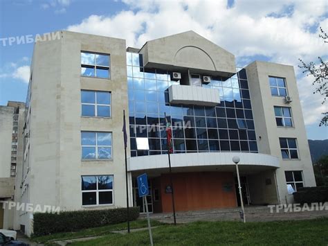 Самоосигуряващите се лица имат още шест дни да подадат осигурителните си декларации за 2013 г