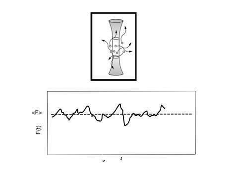 Ppt Fcs Fluorescence Correlation Spectroscopy Powerpoint Presentation Id 3391270