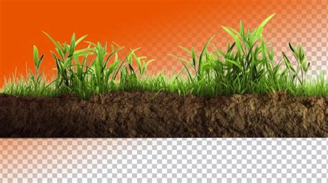 Premium Psd Green Grass Cut Png