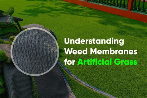 Artificial Grass Understanding Weed Membranes