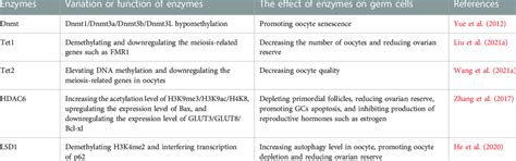 Effects Of Epigenetic Enzymes On Germ Cells Download Scientific Diagram