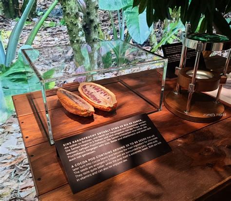 스위스 여행 가볼만한곳 취리히 린트 초콜릿 박물관 후기 네이버 블로그