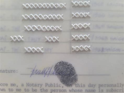 Conversations With Trinh Mai Voyage La Magazine La City Guide