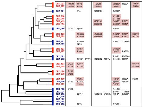 Unsupervised Hierarchical Clustering Analysis Of Scna Data In 8