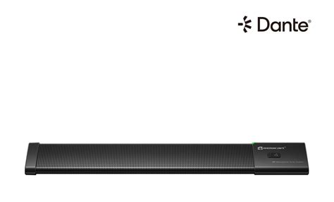 Microphone Array System