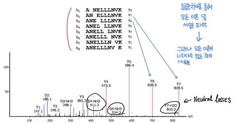 [proteomics] peptide identification de novo sequencing sehoon s