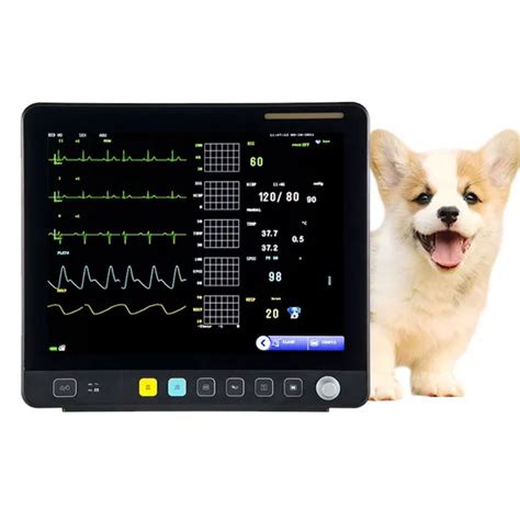 15 Inch Portable Multi Parameter Icu Ecg Spo2 Nibp Temperature Veterinary Patient Monitor