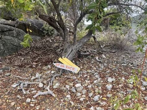 Best Hikes And Trails In Jost Van Dyke Alltrails