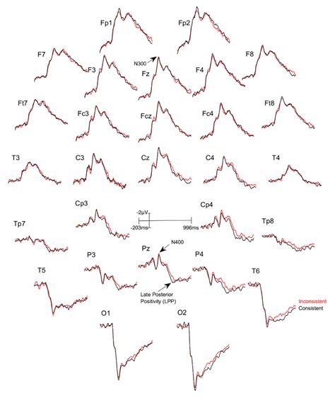 How To Find Effects Of Stimulus Processing On Event Related Brain Potentials Of Close Others