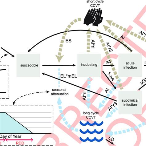 Typhoid Model Framework Transmission Route Diagram For Typhoid Model