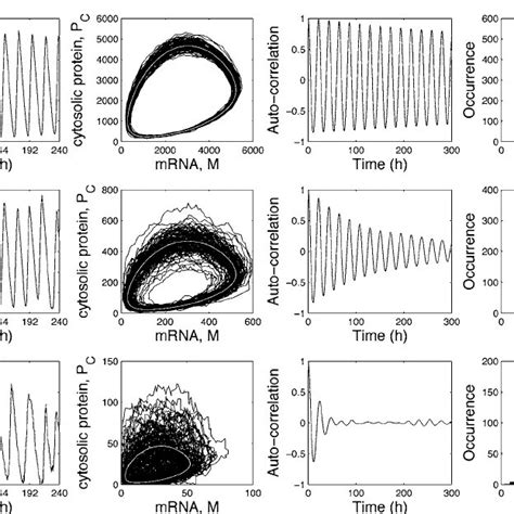 Oscillations Obtained By Numerical Simulation Of The Stochastic Model Download Scientific