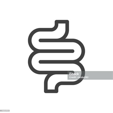 흰색 배경에 창자 선 벡터 아이콘입니다 편집 가능한 획 완벽한 픽셀 모바일 및 웹용 윤곽선 벡터 그래픽 창자에 대한 스톡 벡터