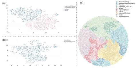 Umap Plot Of Molecules From Raw Data And Virtual Augmented Data And Download Scientific Diagram