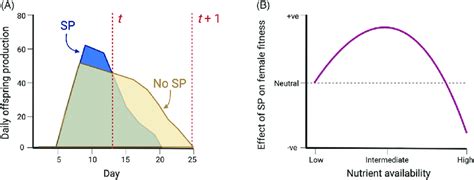 a hypothetical fitness curves that illustrate how the fitness