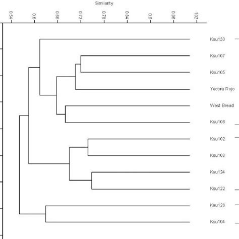 Dendrogram Constructed From Similarity Coefficients Showing The Download Scientific Diagram