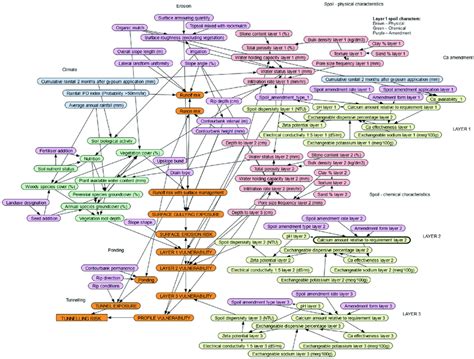 Bayesian Belief Network Model For Risk Management Of Dispersive Spoils