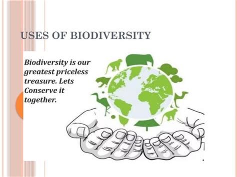 Uses Of Biodiversity For Sustainablepptx