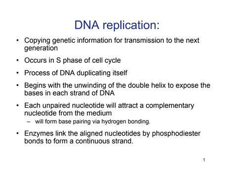 SOLUTION DNA Replication Complete Notes With Diagram Studypool