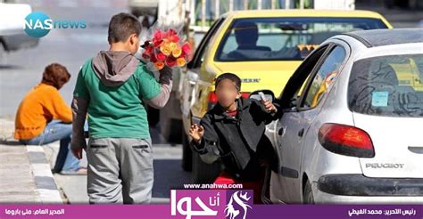 القصة الكاملة لضبط عصابة استغلال الأطفال في التسول والسرقة بالقليوبية