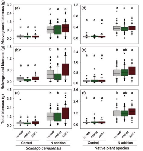 Effects Of Amf Origin No Amf Amf N Amf I On The Growth Of S