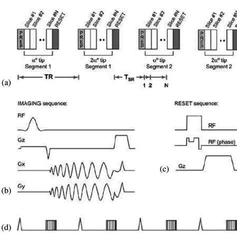 Spiral Distribution Of B 1 Mapping Pluse Sequence Download Scientific Diagram